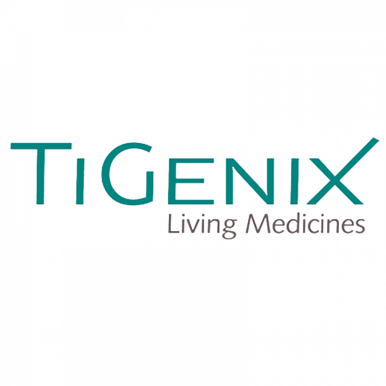 MC Services: experts in corporate communications and investor relations